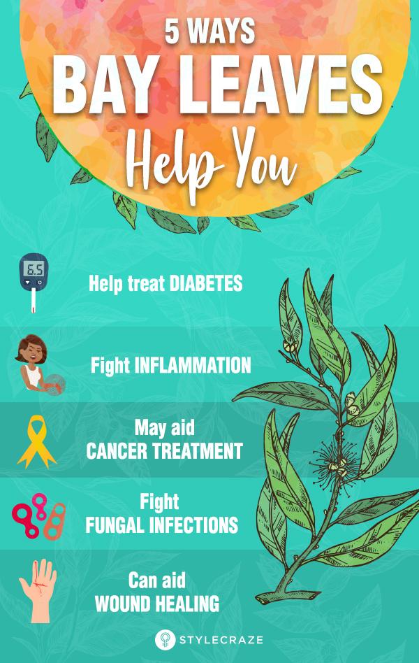 Top 5 Bay Leaf Benefits You Should Know Today Side Effects Top 5 Bay Leaf Benefits You Should Know Today Side Effects