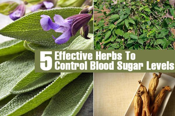 5 Effective Herbs To Control Blood Sugar Levels - Chat Room - NFDB
