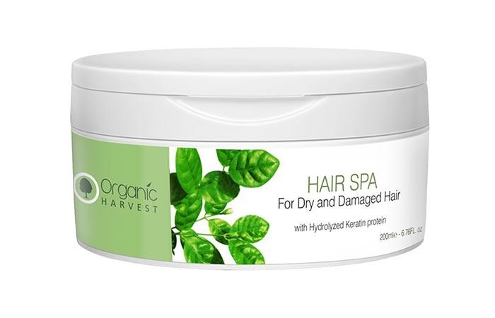 Top 10 Organic Hair Masks Available In India For Well Nourished Hair