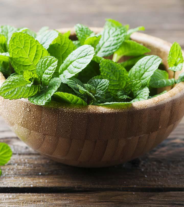  Peppermint Pudina Benefits And