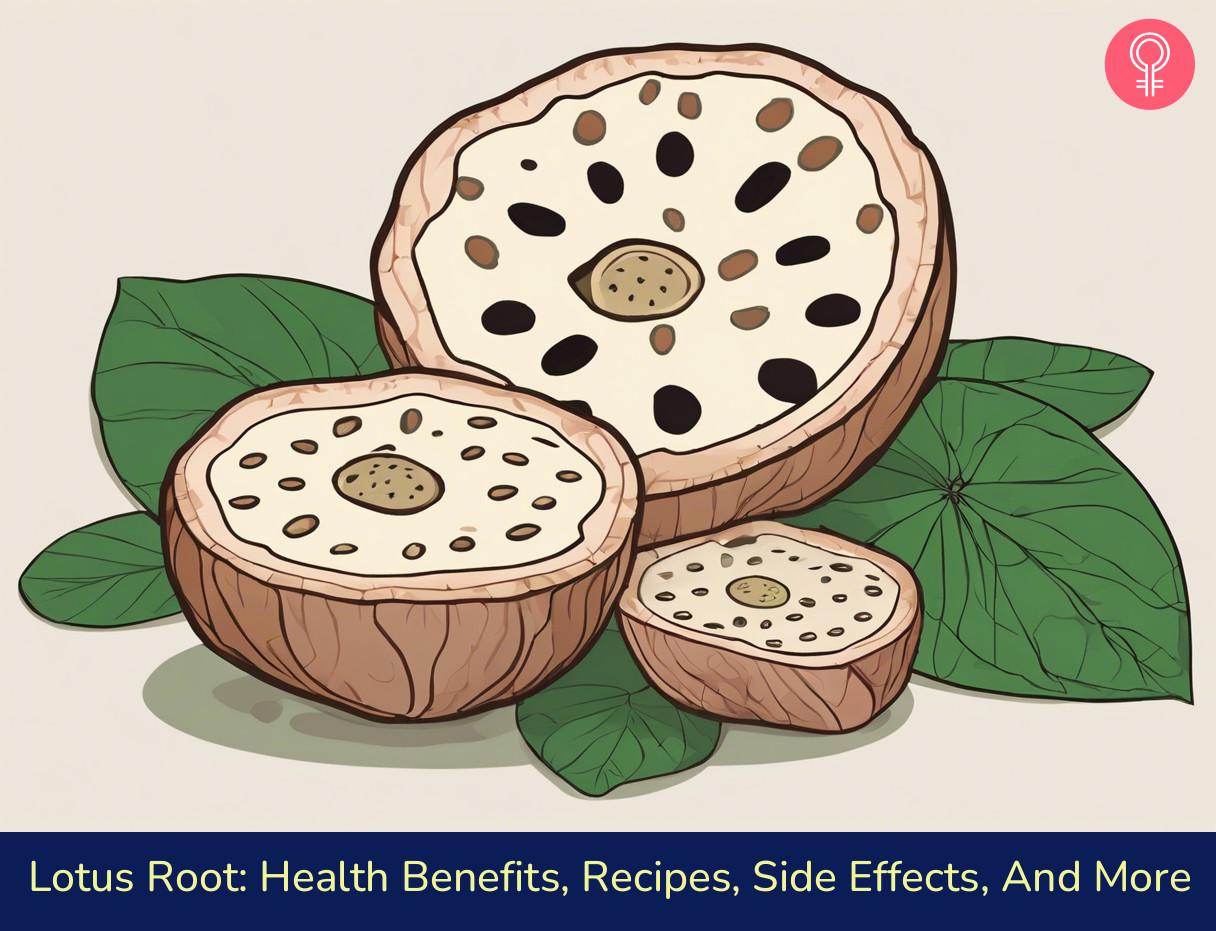 Lotus Root: Health Benefits, Recipes, Side Effects, And More (2025)