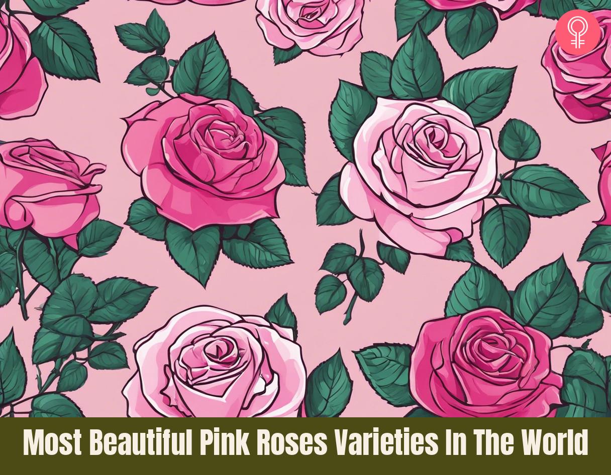 27 Most Beautiful Pink Roses Varieties In The World
